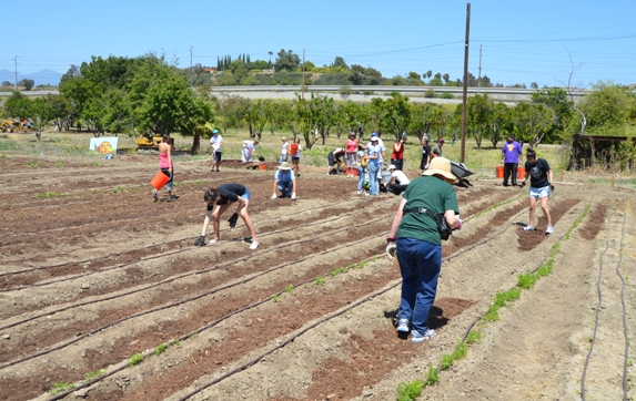 Presbyterian Church (USA) Pressuring Wendy's to Join Fair Food Program ...