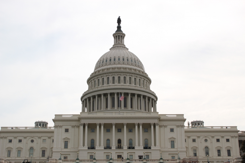 8 Issues That Show Congress Is More Bipartisan Than You Think | Politics