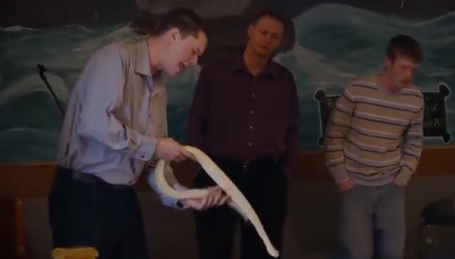 'Snake Salvation' Pastor's 14 Remaining Snakes Euthanized by Wildlife ...