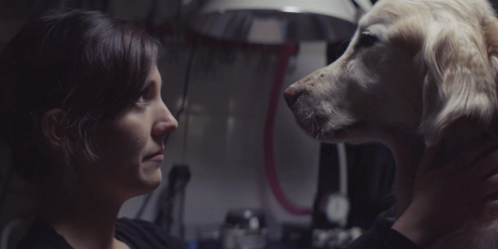 Car Commercial About the Love of a Dog Will Bring You to Tears (VIDEO)
