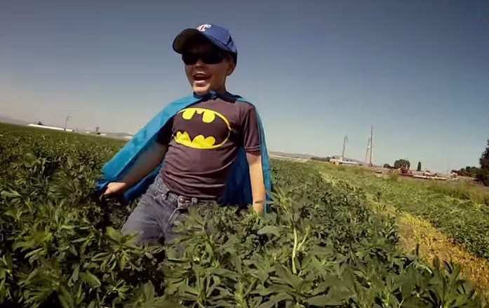 This Little Boy Named Batkid Who Inspired The World Is Getting a ...