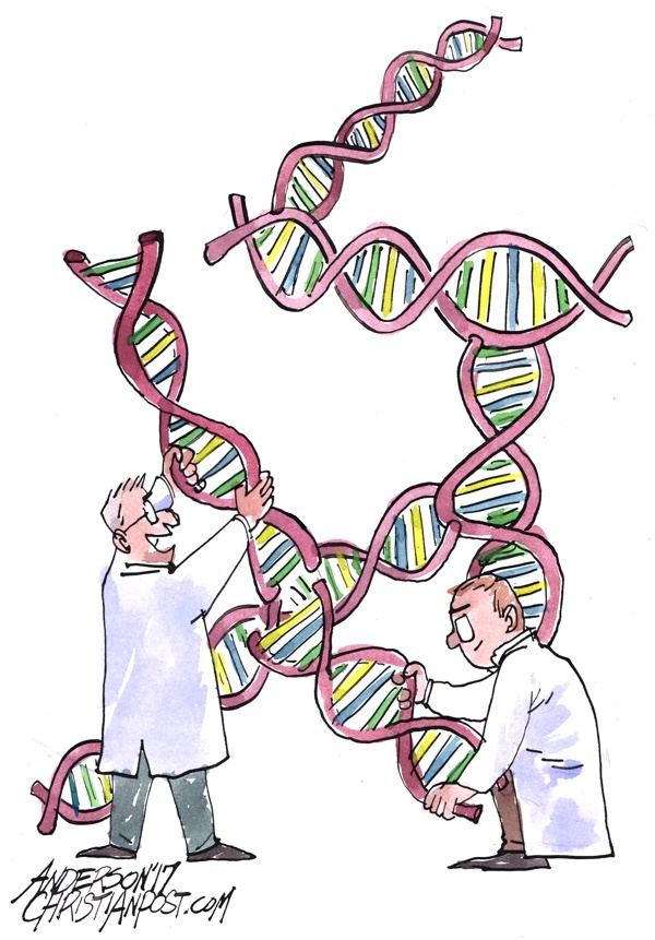 Are we really shocked at genetically modified human embryos?