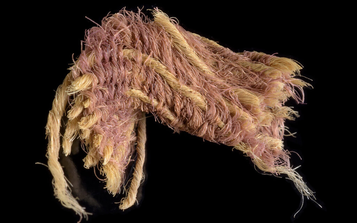 Royal purple cloth scraps from King David's era found in Israel | World