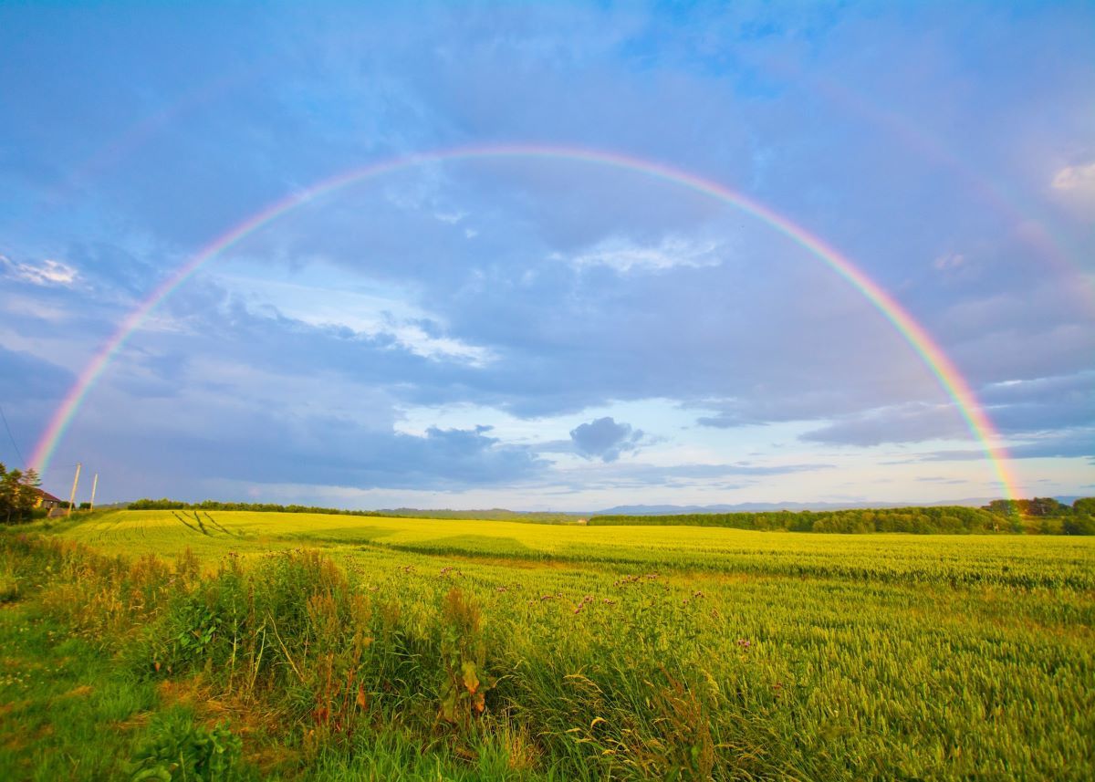 Revelation 4: The destruction of our planet