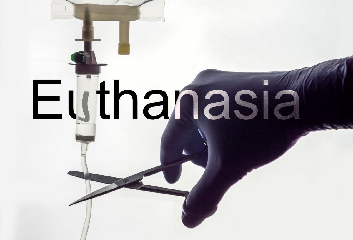 New Zealand sees euthanasia, assisted suicide rates climb 37% | World
