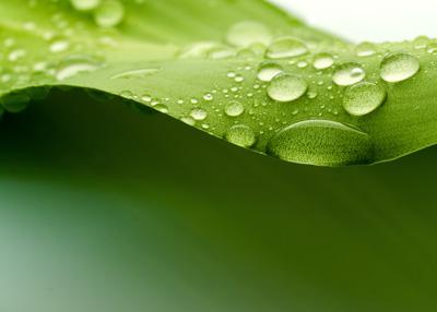 The Streams of God