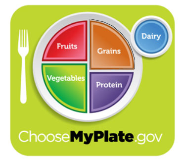 Food Pyramid Replaced by 'Simple' MyPlate, With First Lady Support
